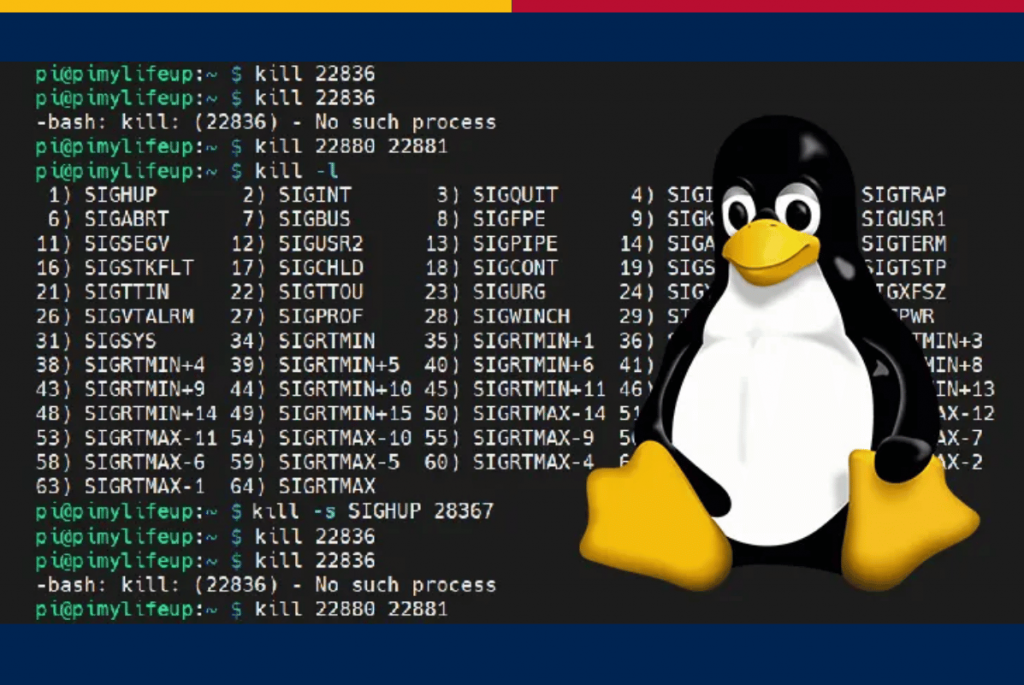Home - Centre for Advanced Computing